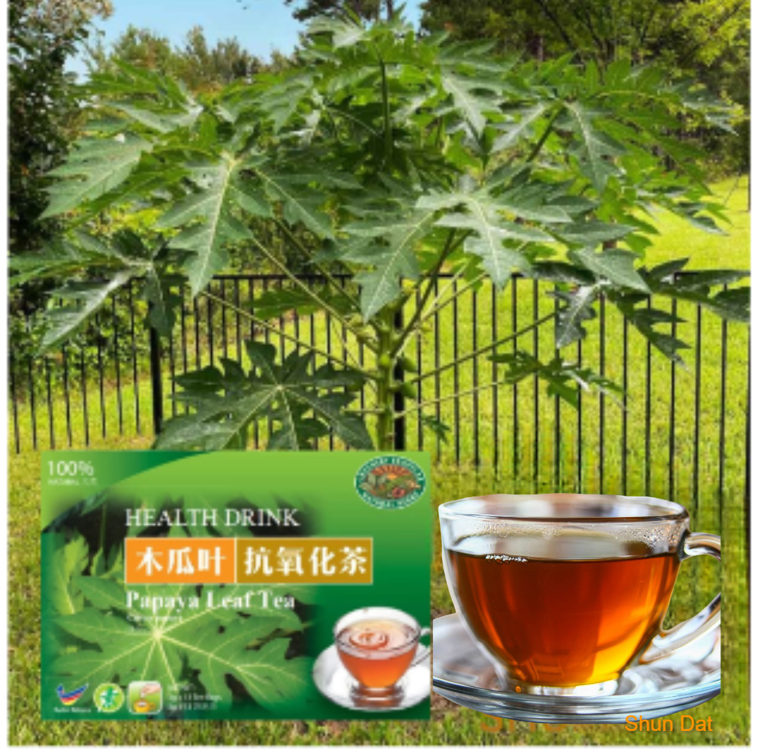 Papaya Leaf Tea – Shun Dat